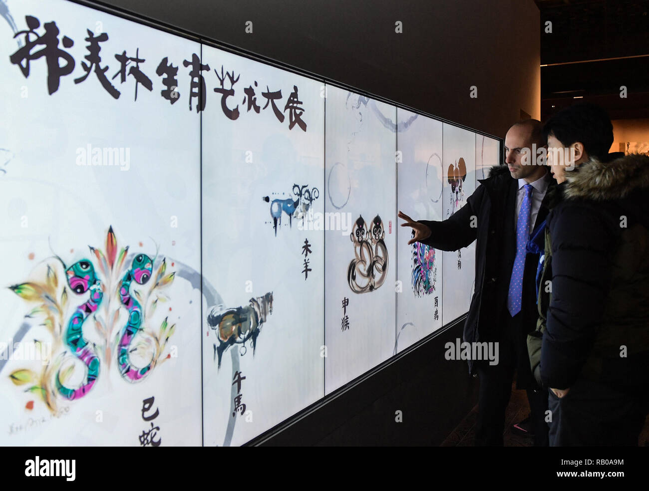 Beijing, Chinese artist Han Meilin. 20th Feb, 2019. Visitors view Han ...