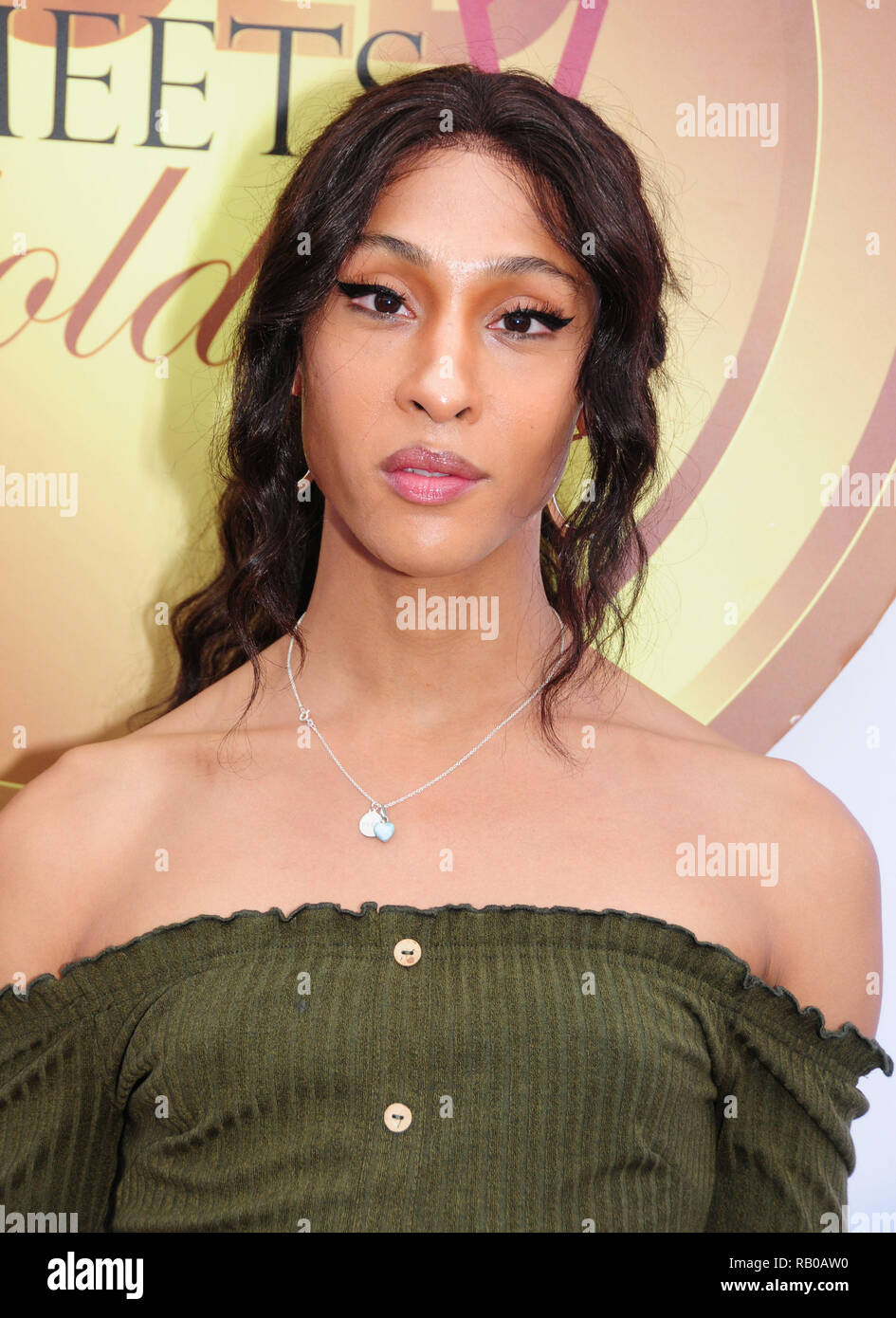 California, USA. 5th Jan 2019. Actress MJ Rodriguez attends the 6th ...