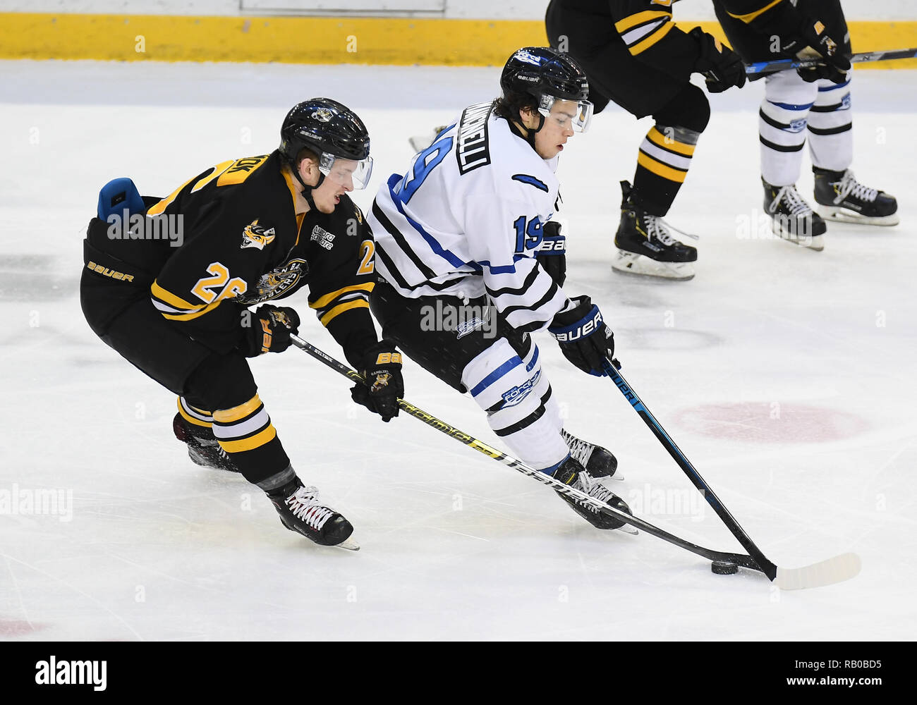 Mancinelli hi-res stock photography and images - Alamy