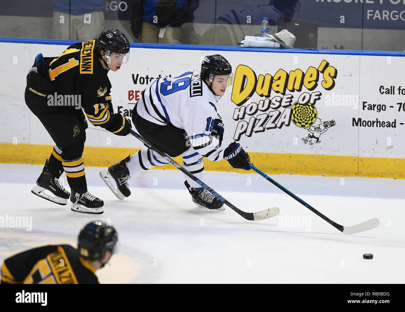 Mancinelli hi-res stock photography and images - Alamy