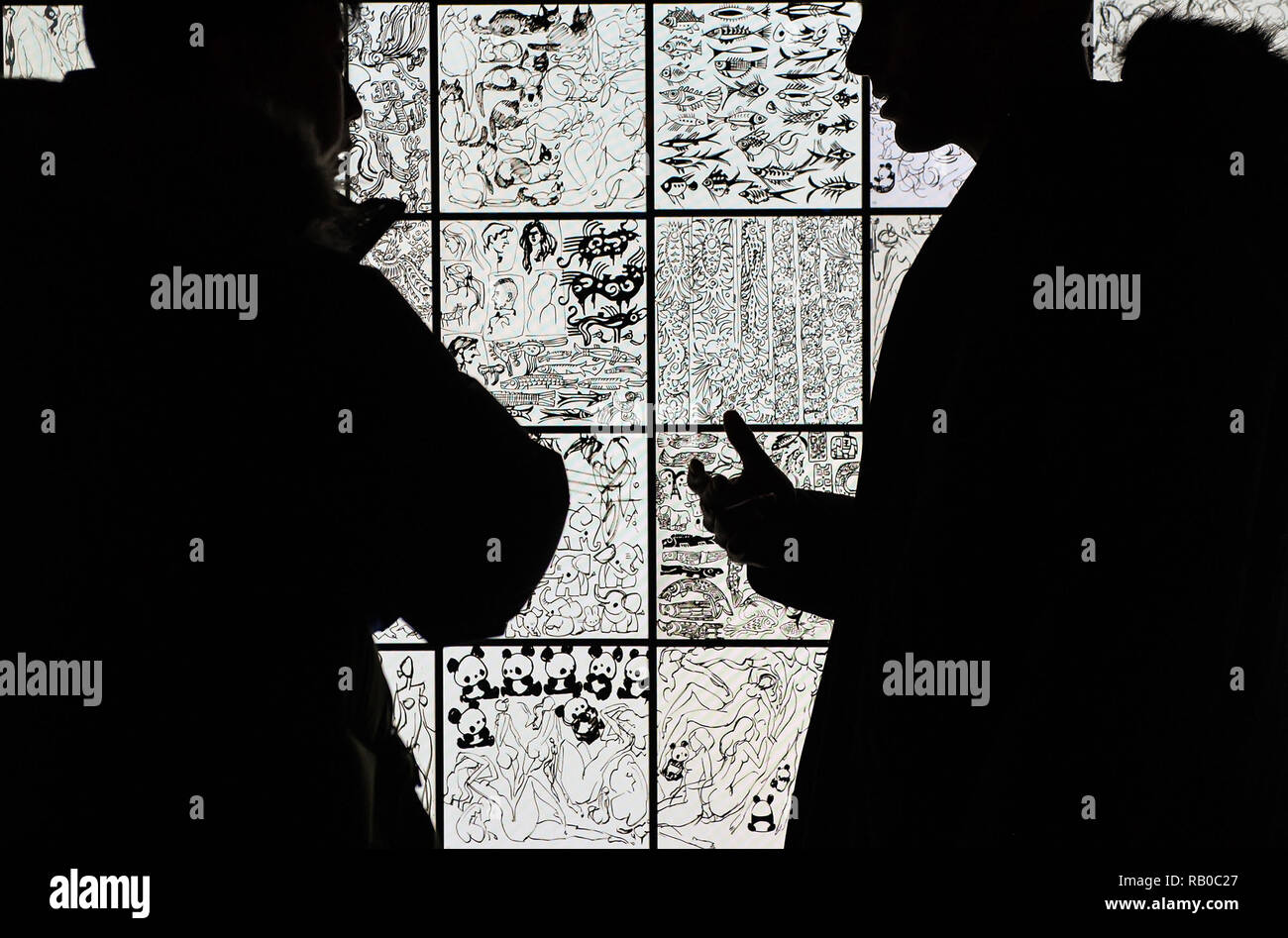 Beijing, Chinese artist Han Meilin. 20th Feb, 2019. Visitors view Han ...
