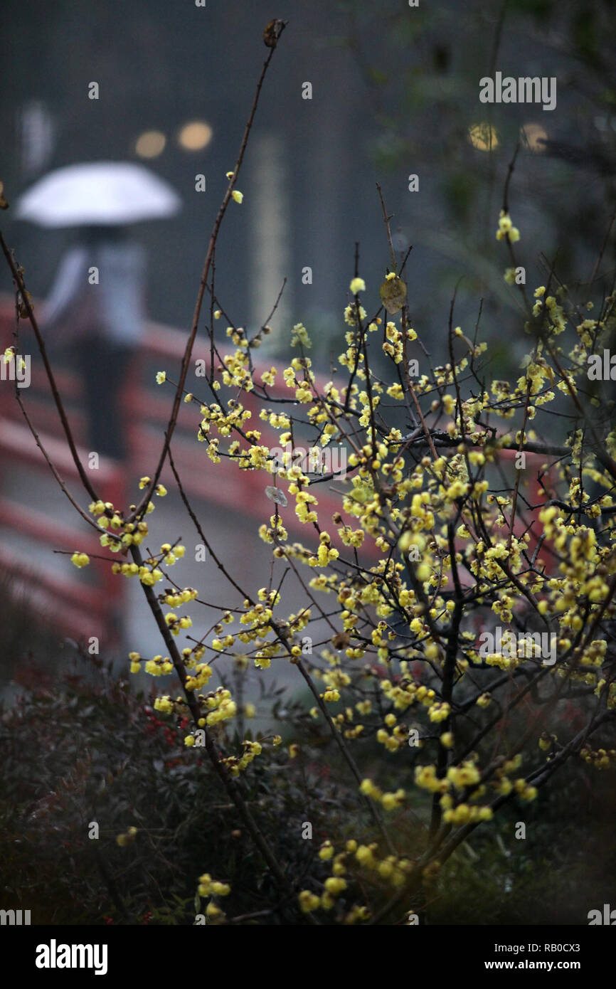 Delong lake hi-res stock photography and images - Alamy