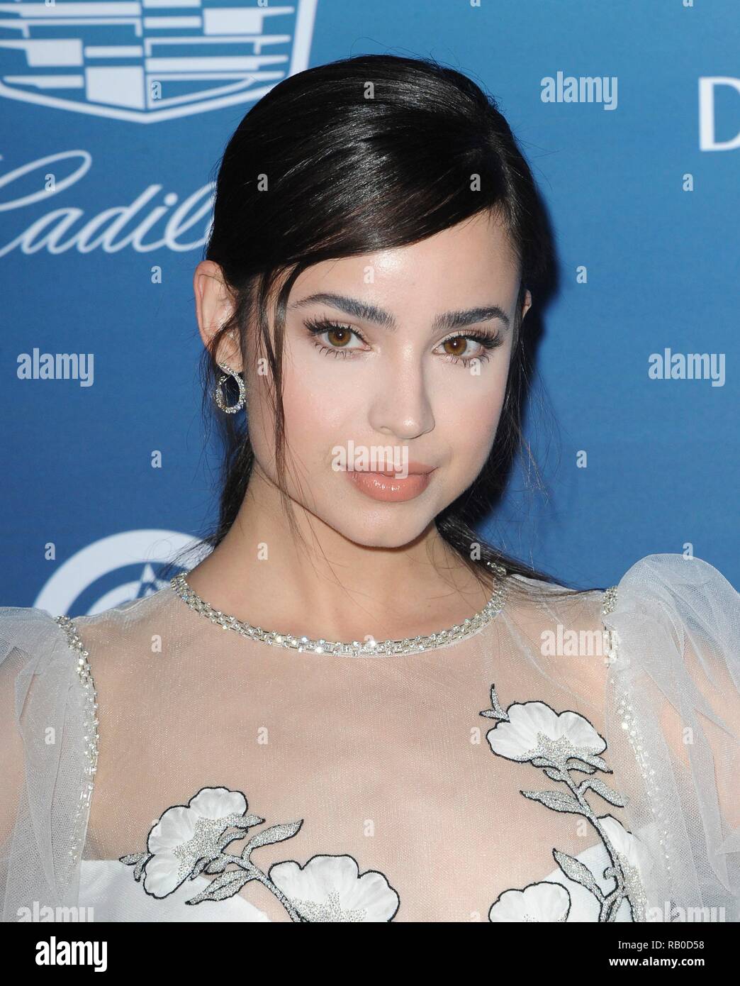 Los Angeles, CA, USA. 5th Jan, 2019. Sofia Carson at arrivals for The ...