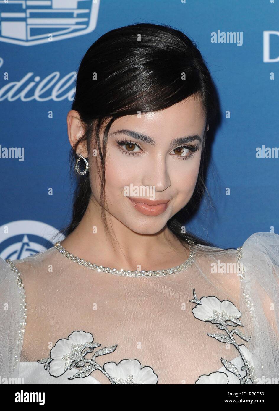 Los Angeles, CA, USA. 5th Jan, 2019. Sofia Carson at arrivals for The ...
