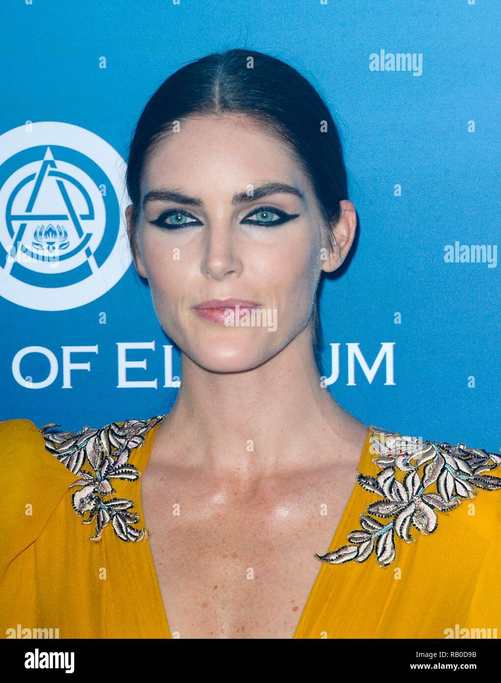 Los Angeles, CA, USA. 5th Jan, 2019. Hilary Rhoda at arrivals for The ...
