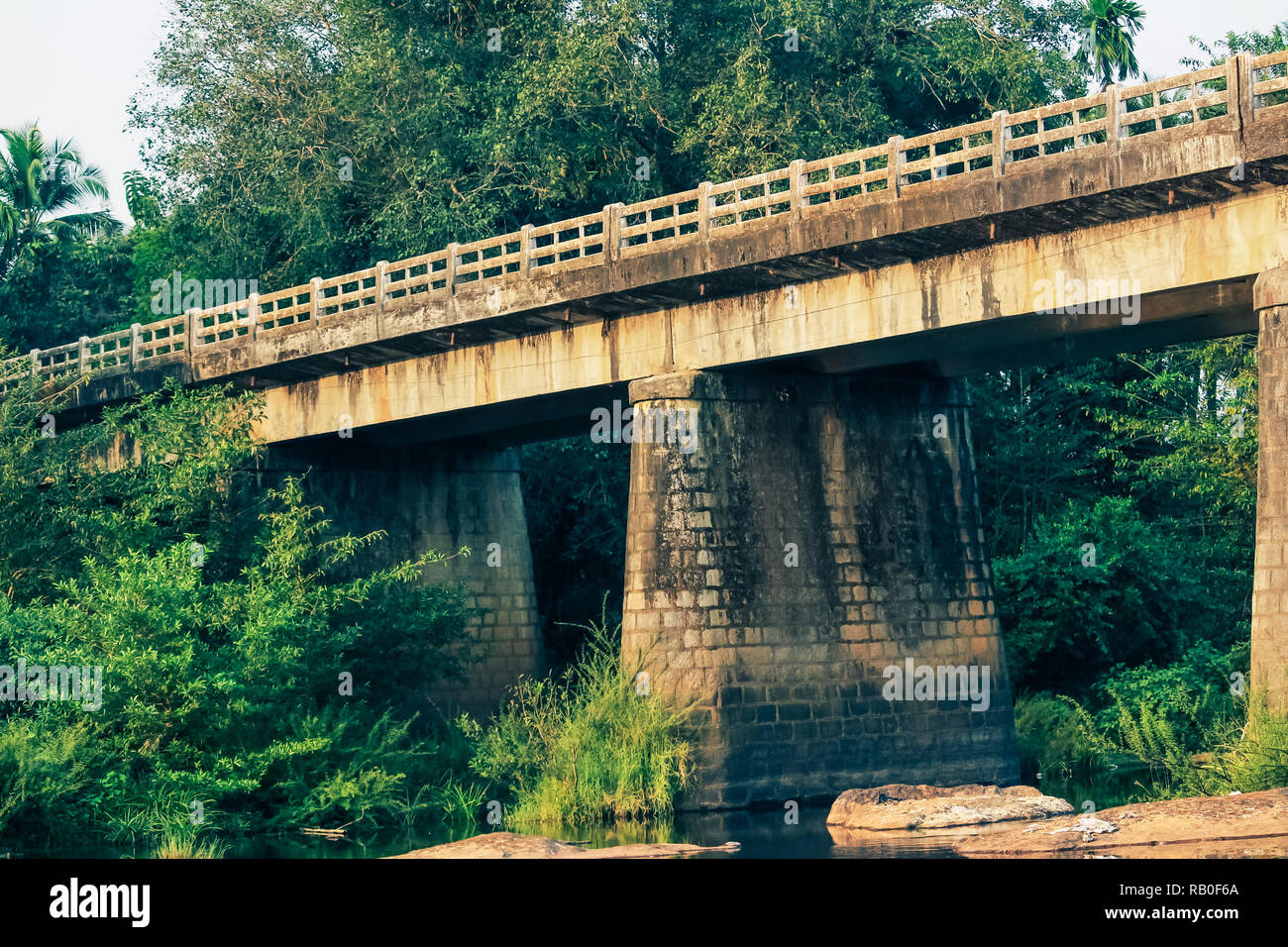 bridge over a river in a forest Stock Photo - Alamy