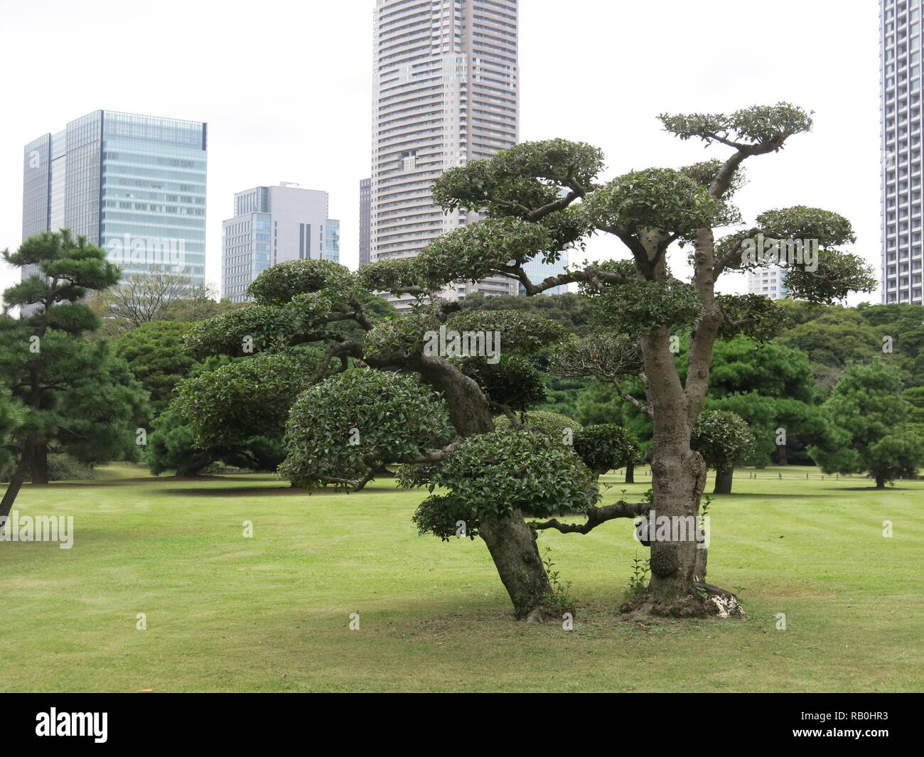 Hama-rikyo Gardens in central Tokyo are an oasis of green space in the ...
