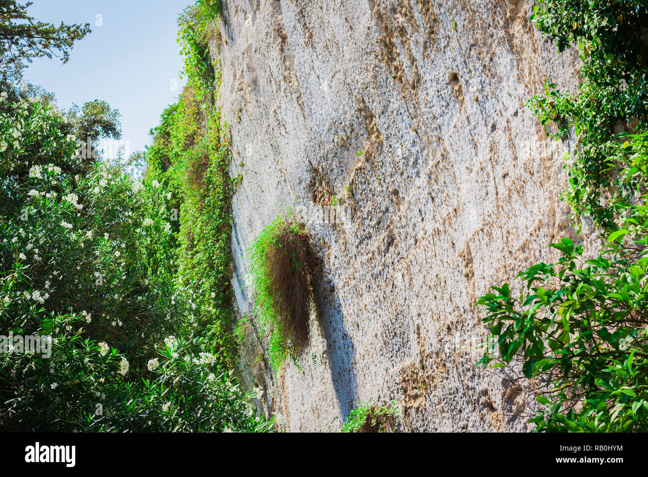 Limestone rock in Archeological park in Syracuse, Sicily, Italy Stock ...