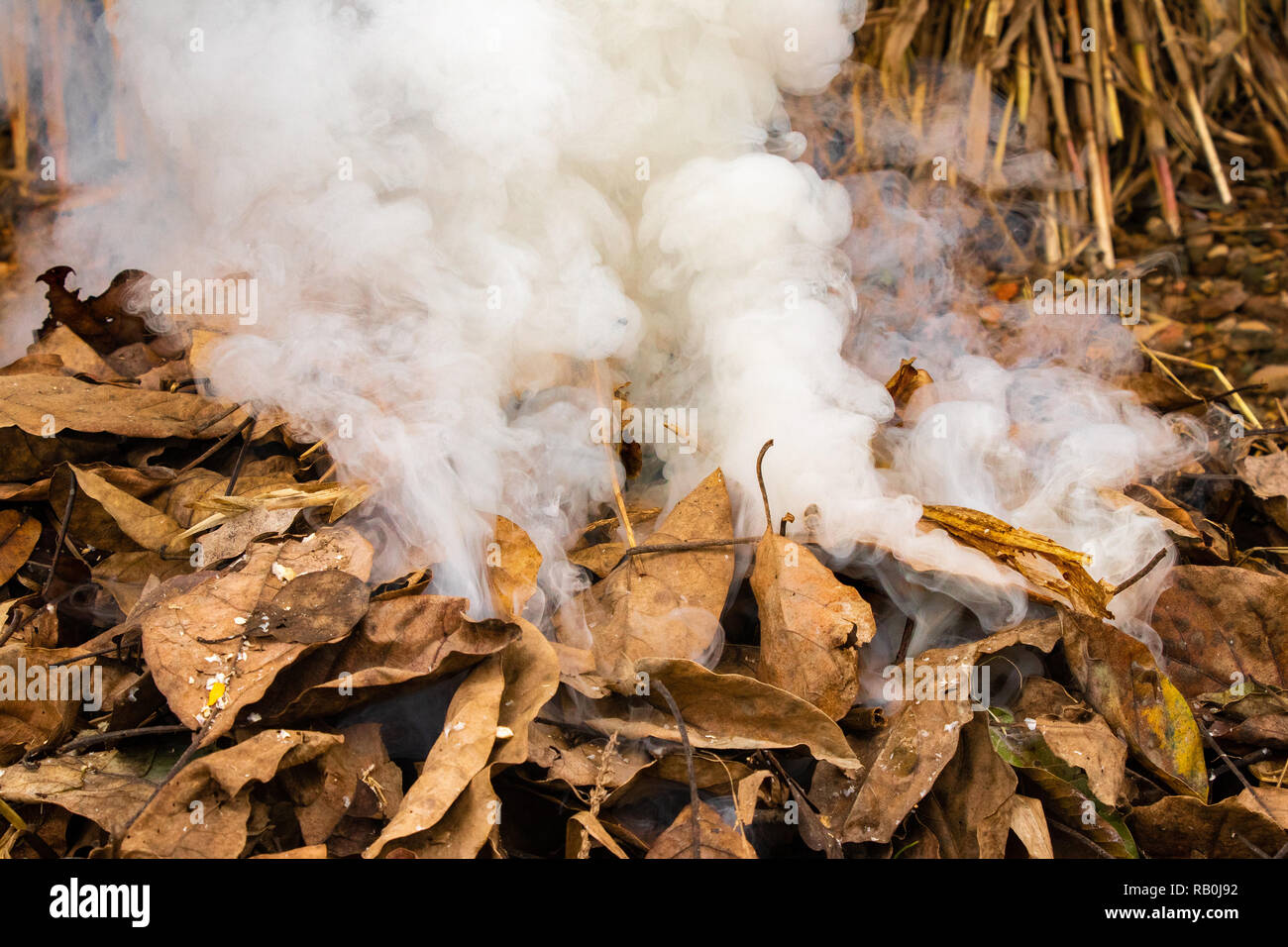 Smoke producing environment hi-res stock photography and images - Alamy