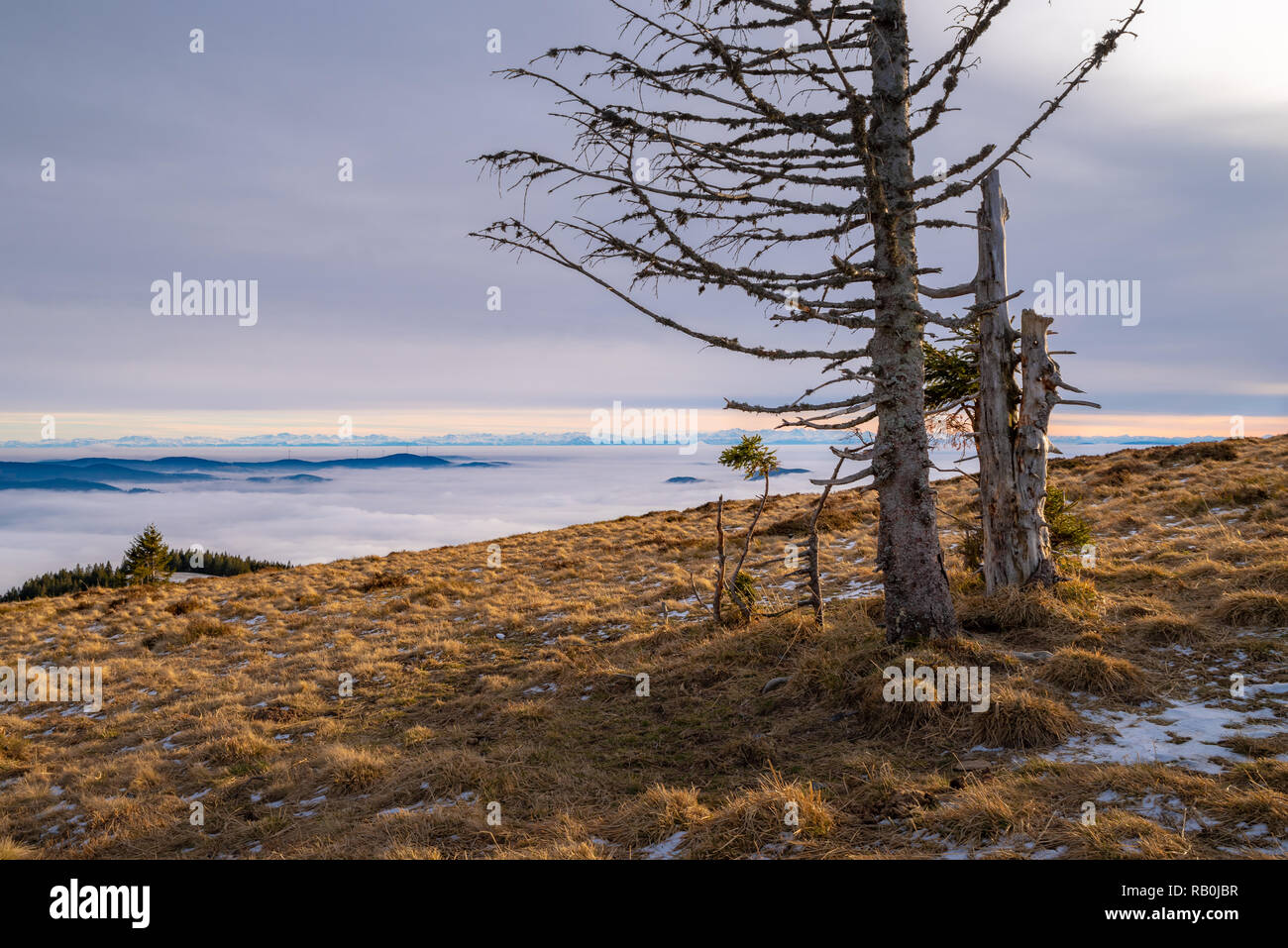hiking around teh magic Belchen in the south of germany Stock Photo - Alamy