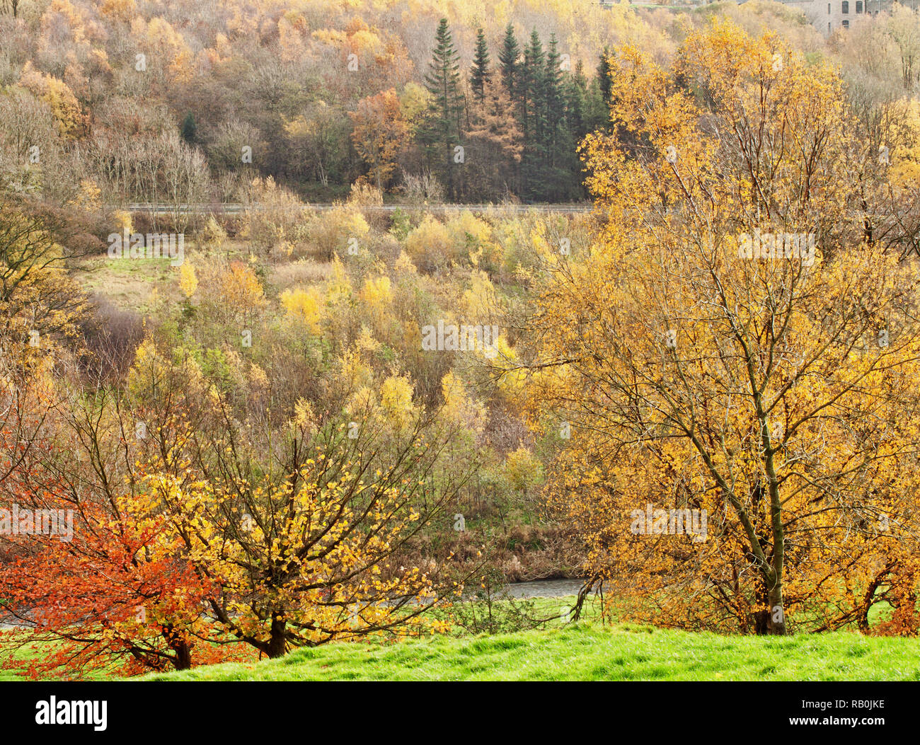 Pendle Water High Resolution Stock Photography and Images - Alamy