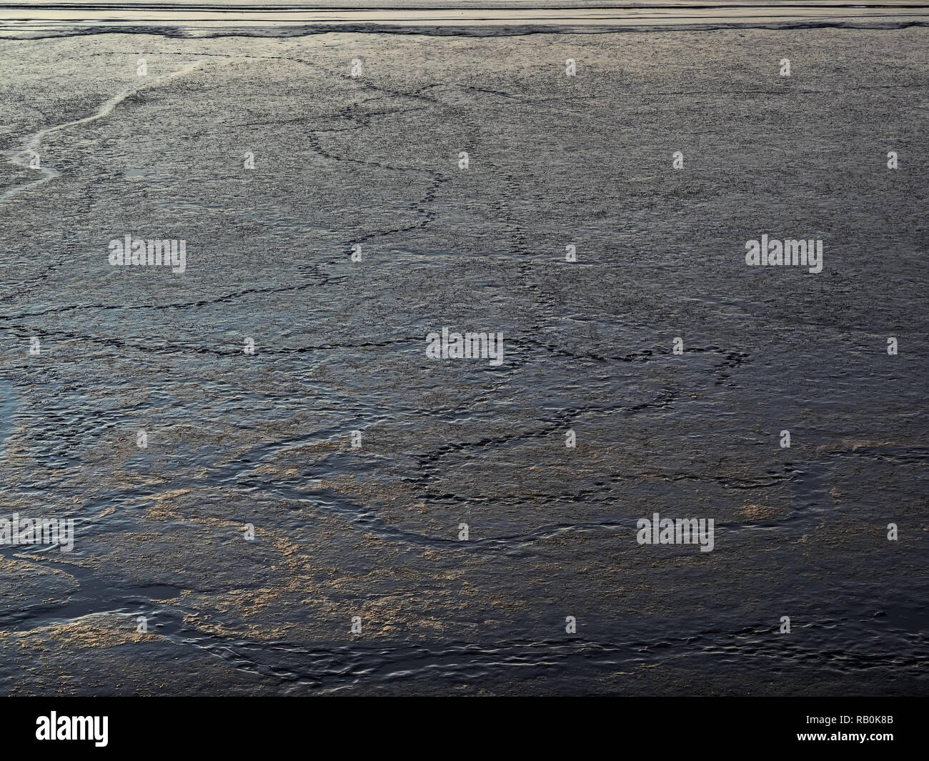 Animal tracks in mud hi-res stock photography and images - Alamy