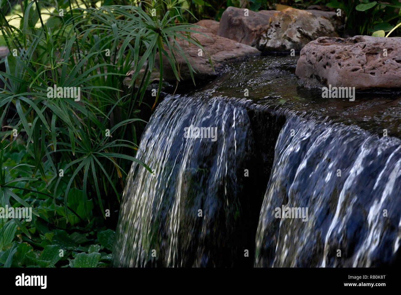 waterfalls, garden arrangement, waterfalls in the garden Stock Photo ...