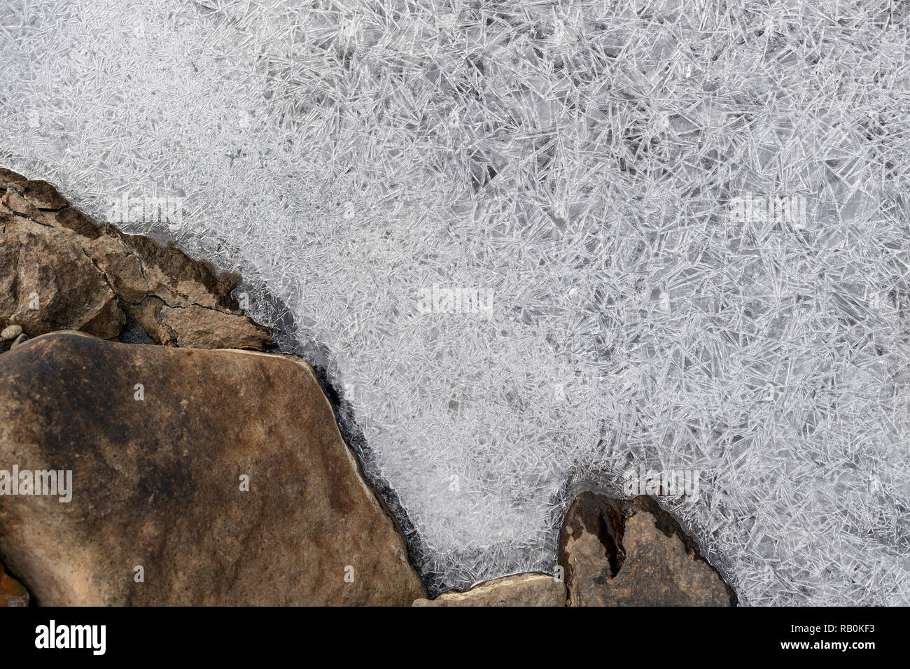 Ice crystals form around rocks in the Little Truckee River, California ...