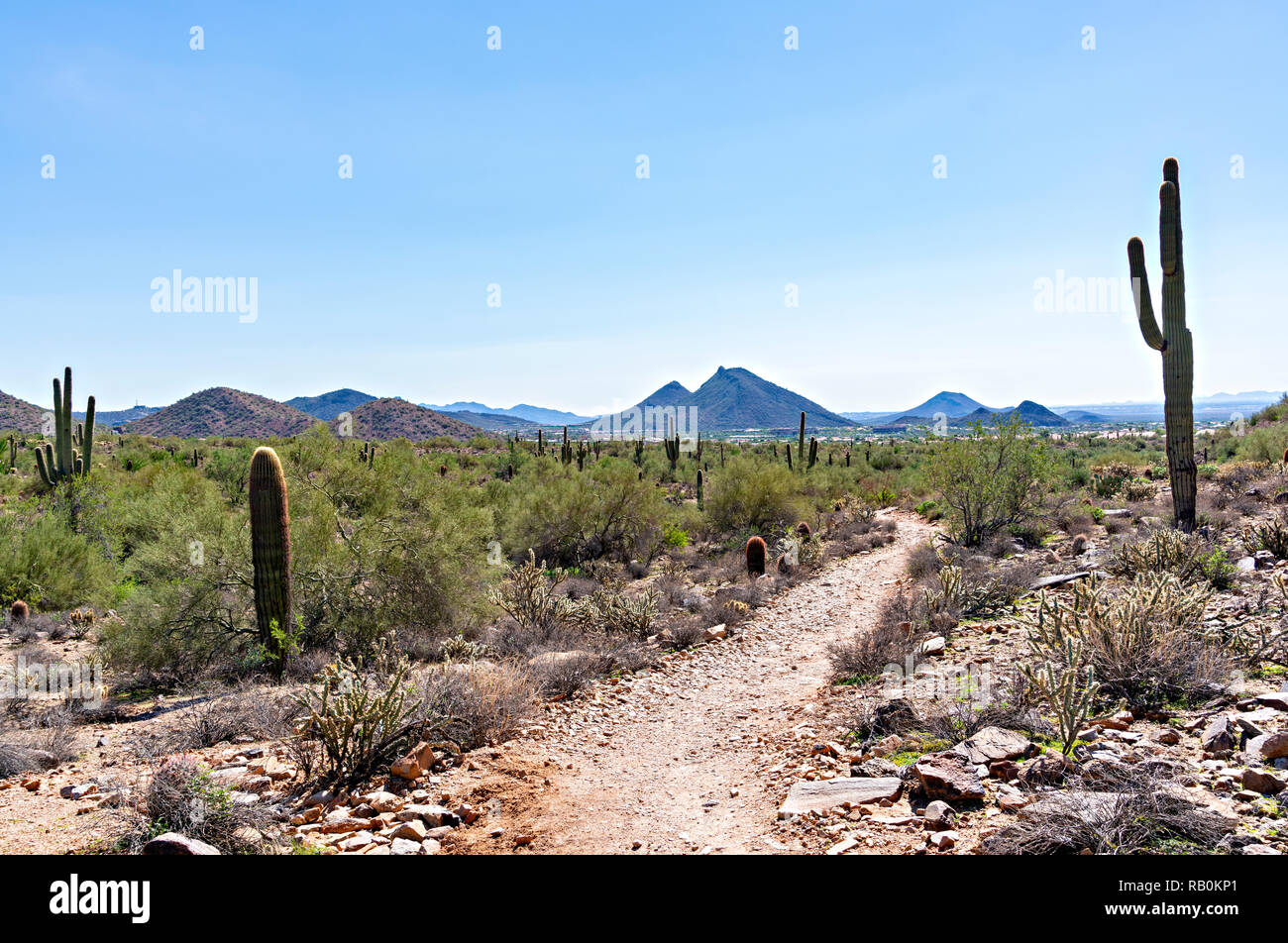 Long View of the Desert Stock Photo - Alamy