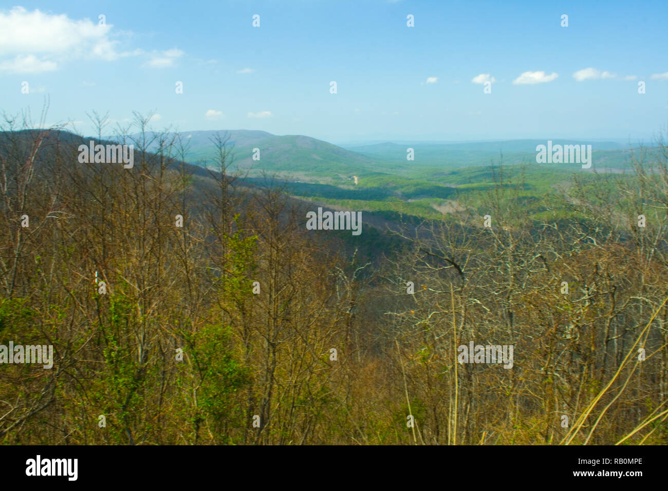 Ouachita mountains arkansas hi-res stock photography and images - Alamy