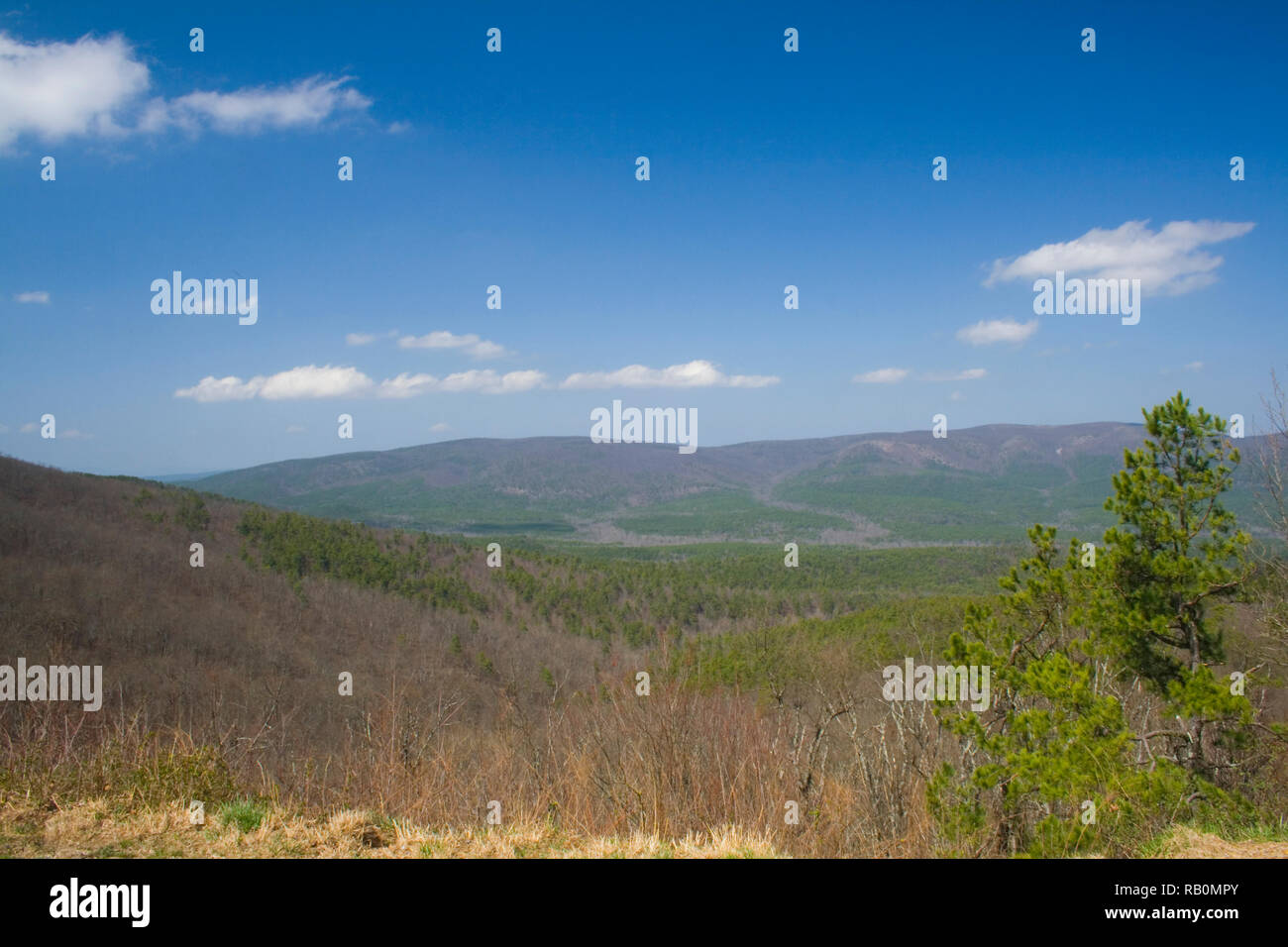 Ouachita mountains arkansas hi-res stock photography and images - Alamy