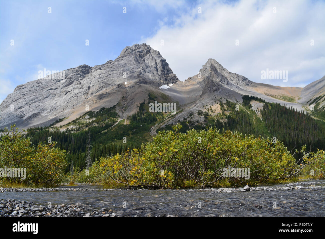 Mount Birdwood and stream on Burstall Pass Trail, Kananaskis, Alberta ...