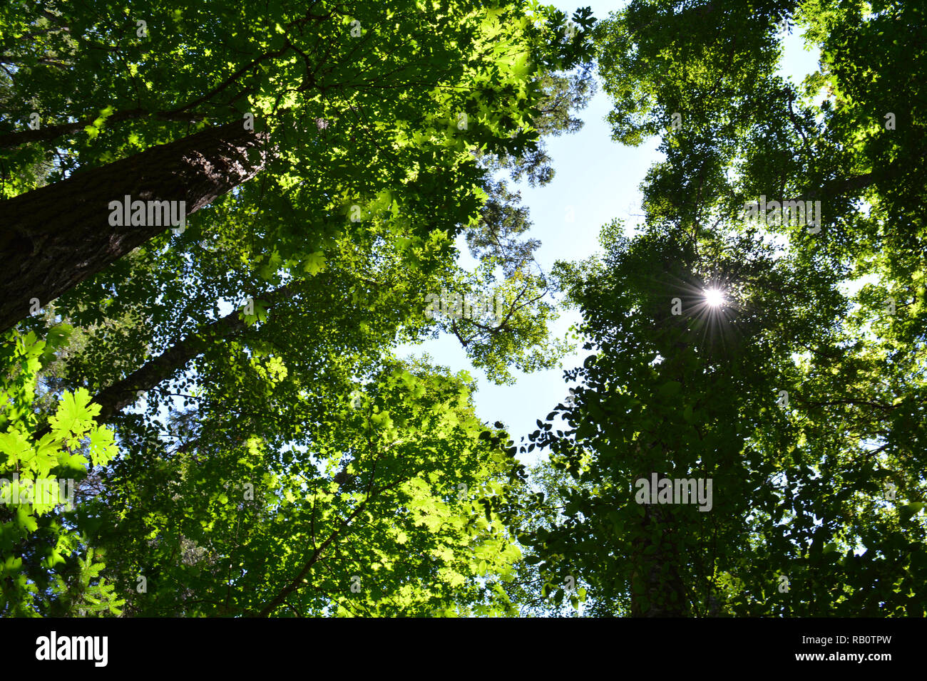Sunlight streaming though hi-res stock photography and images - Alamy