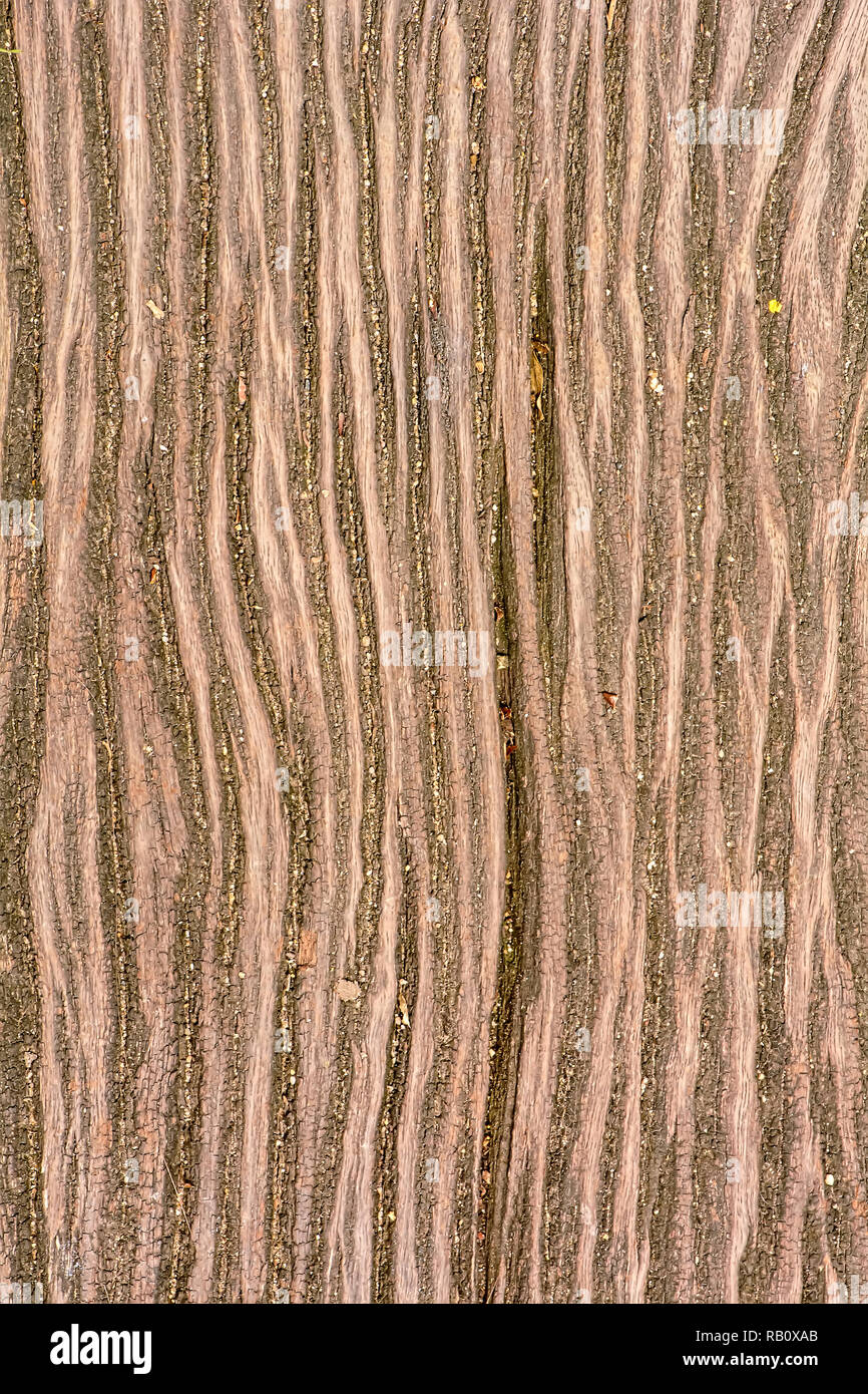The wood texture is the art work Stock Photo - Alamy