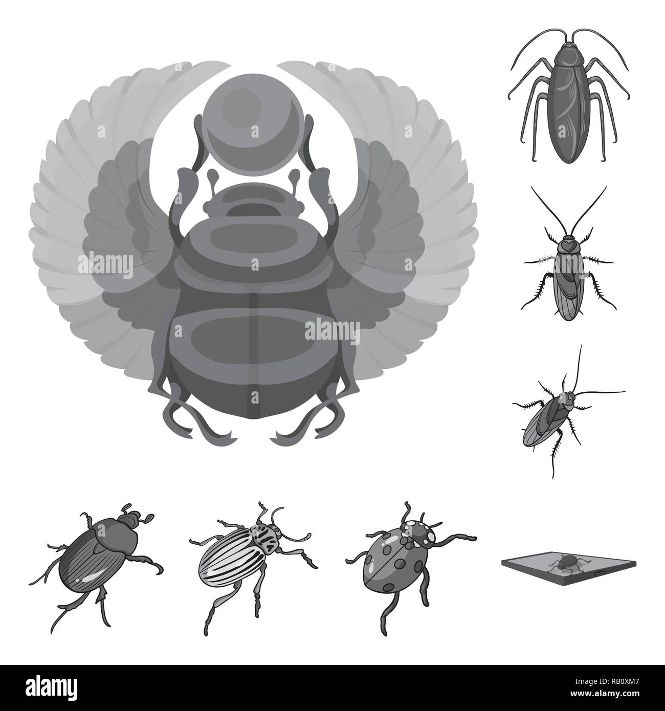 horn,ladybug,pest,cockroach,bug,insect,beetle,animal,halloween,drawn ...