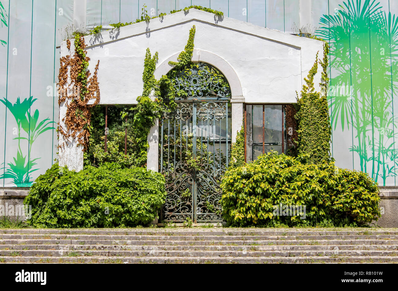 Back garden patio green door hi-res stock photography and images - Alamy
