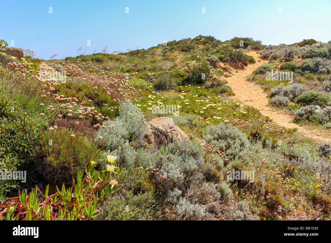 Spring In Portugal High Resolution Stock Photography and Images - Alamy