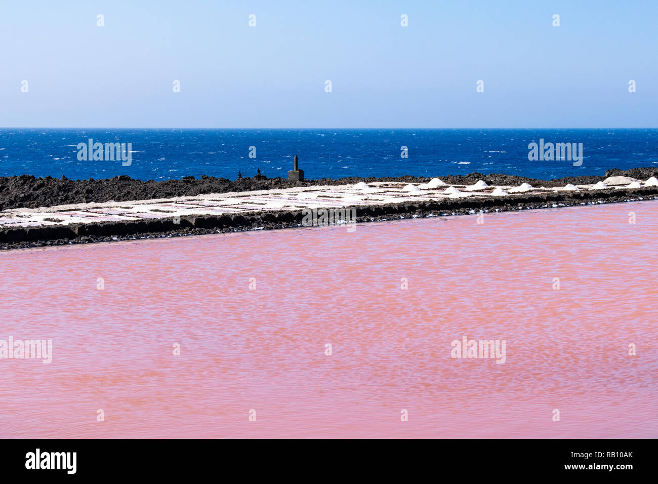 Pink coloured water during the salt evaporation process in salt field ...