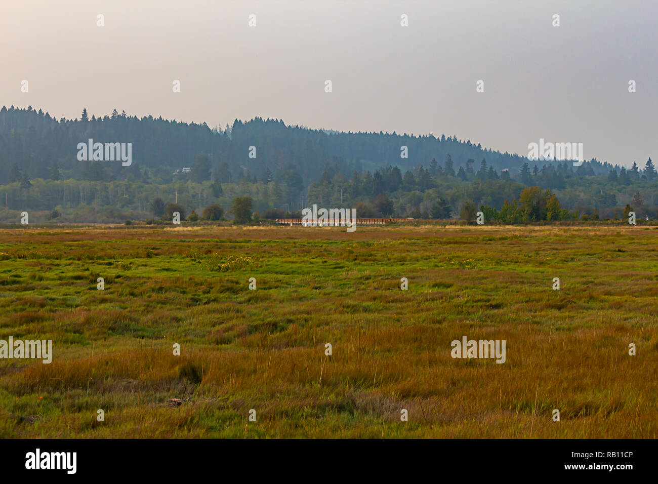 Large green field mountain hi-res stock photography and images - Alamy