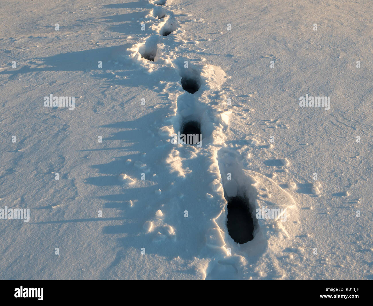 Wet footsteps hi-res stock photography and images - Alamy