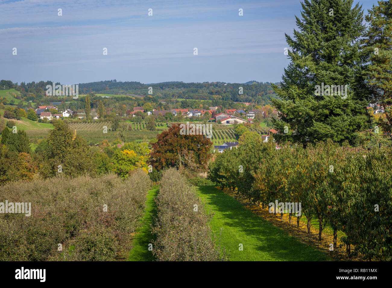 Obstplantage hi-res stock photography and images - Alamy