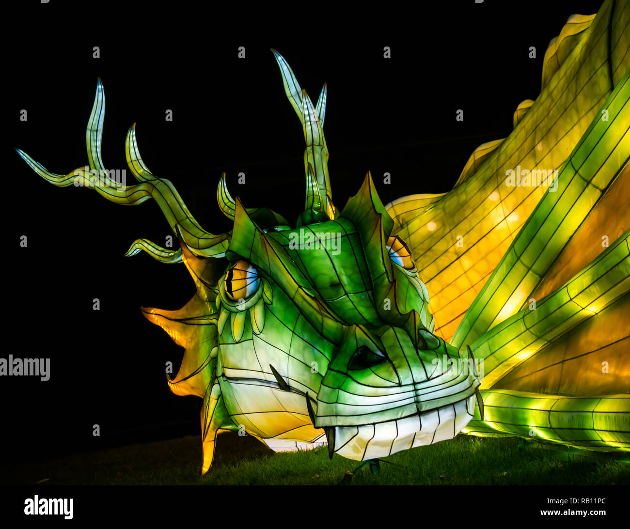 Huge Dragon Headpieces