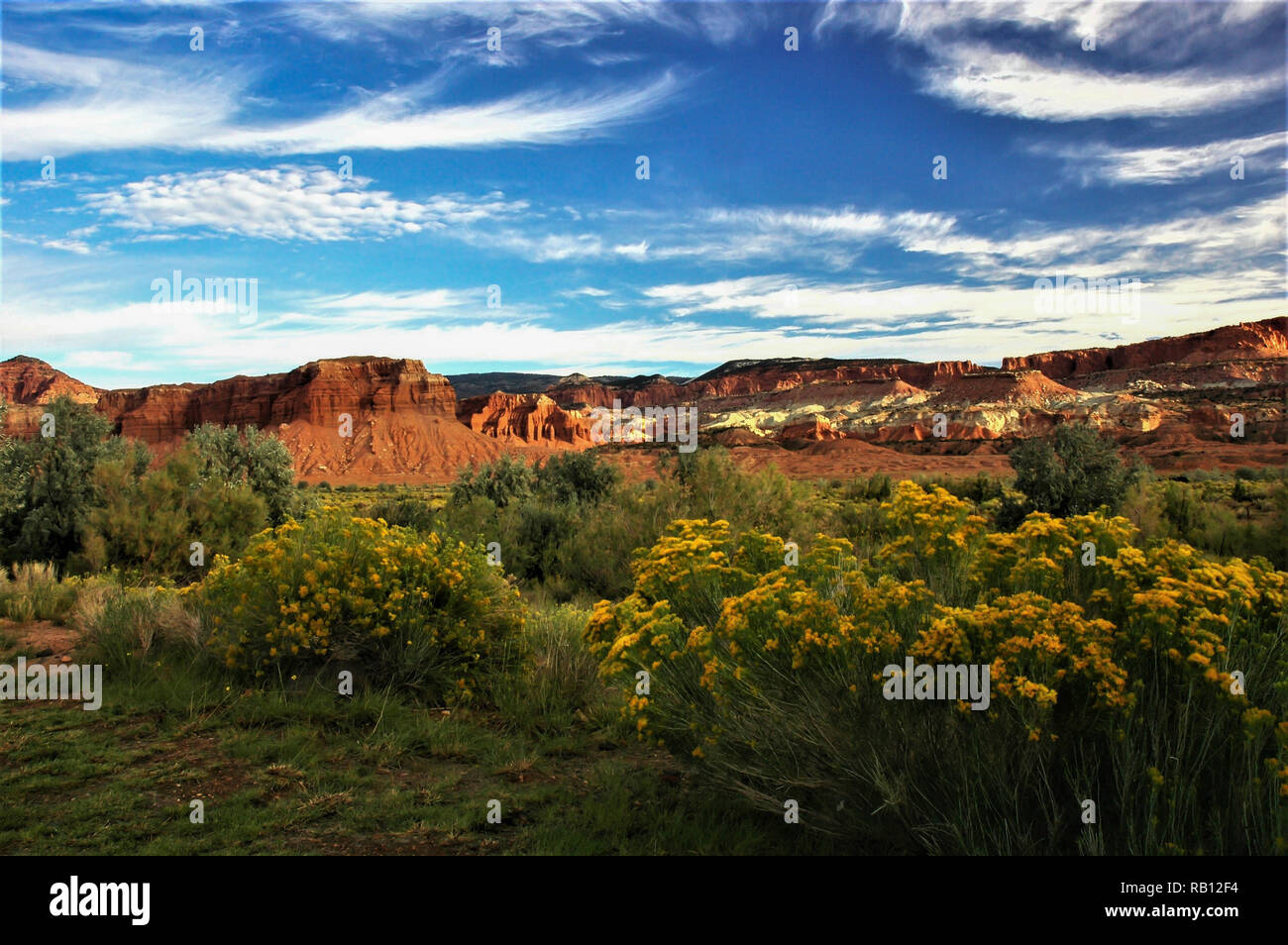 Sage brush, blue sky and red rock cliffs of southern Utah Stock Photo ...