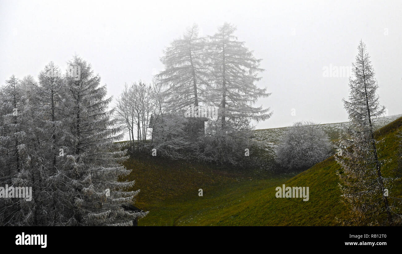 Nice winter landscape with trees snow hi-res stock photography and ...