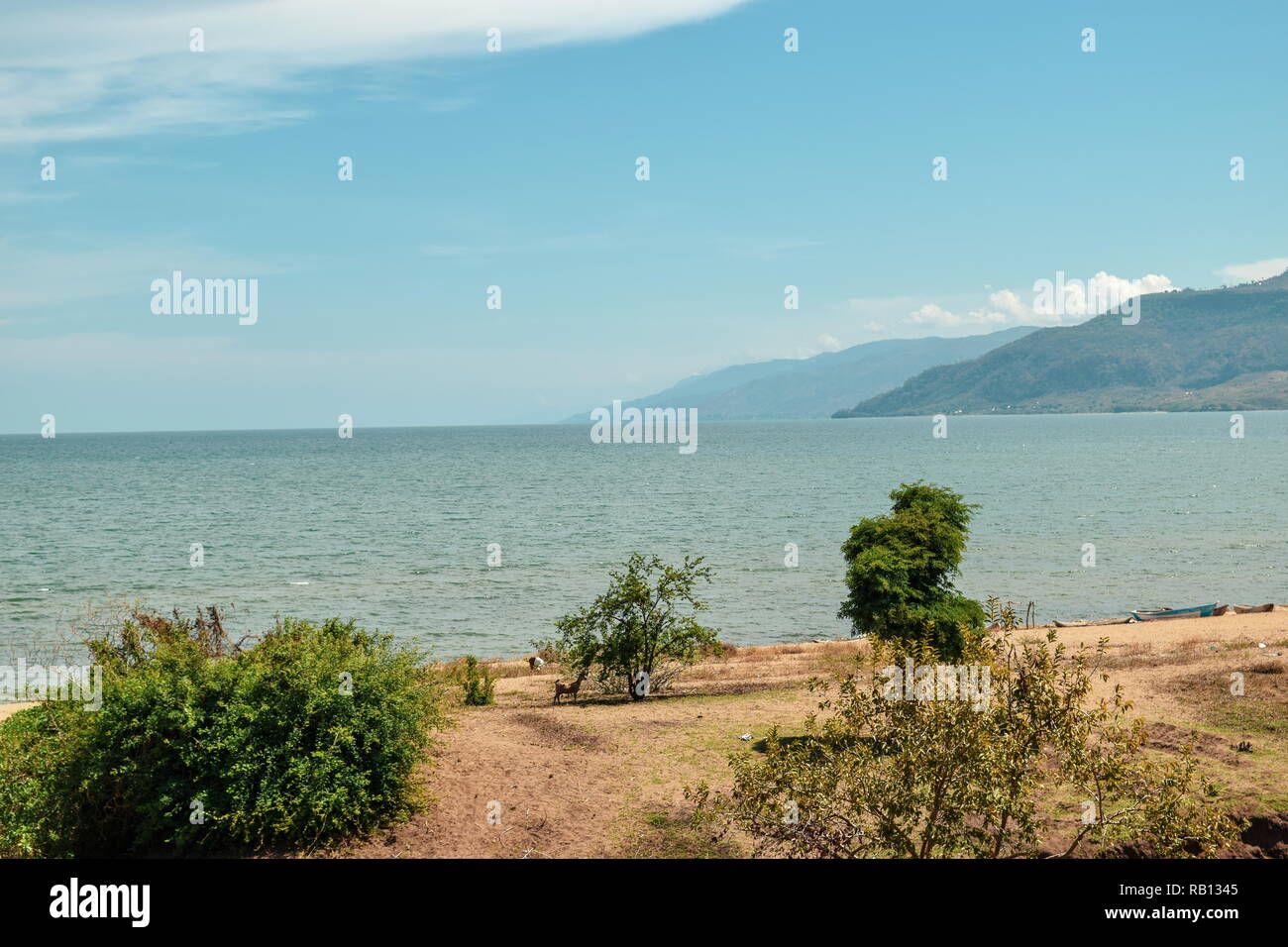 Drive safari malawi hi-res stock photography and images - Alamy