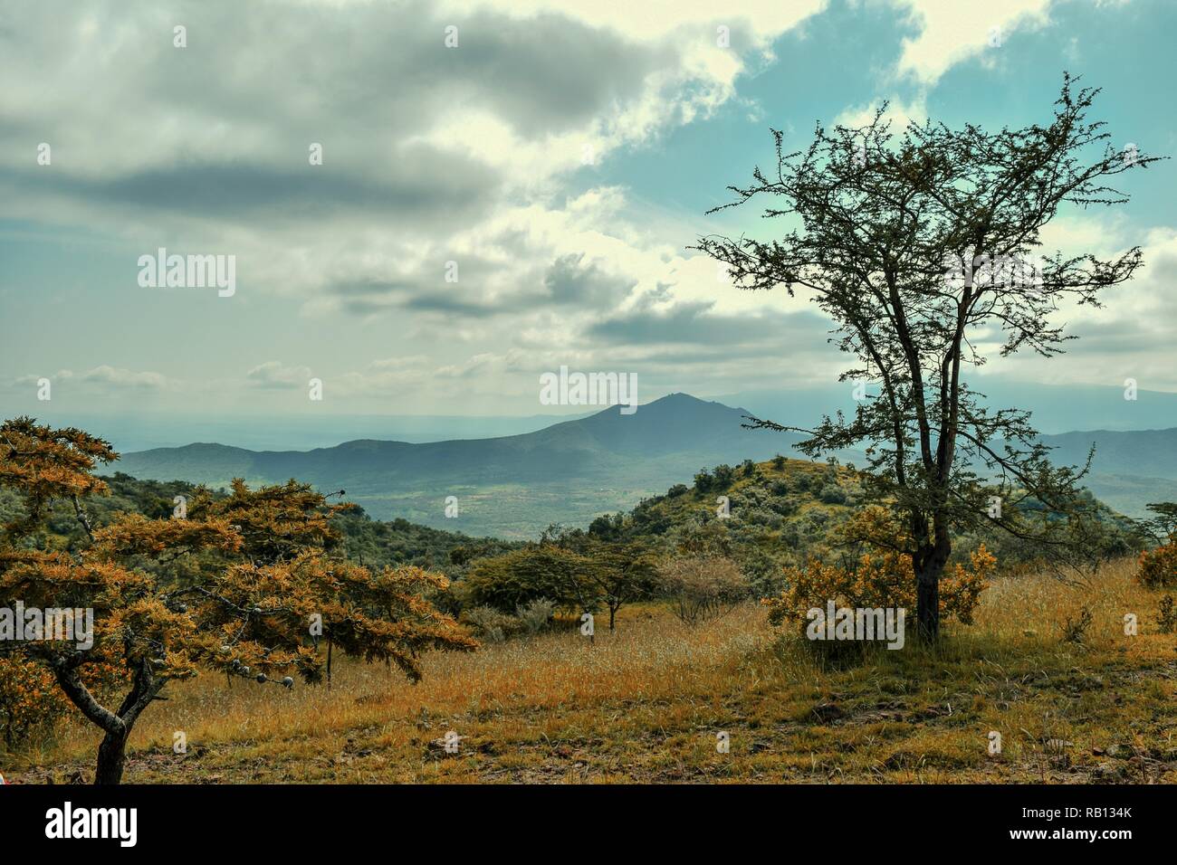 Acacia valley trail hi-res stock photography and images - Alamy