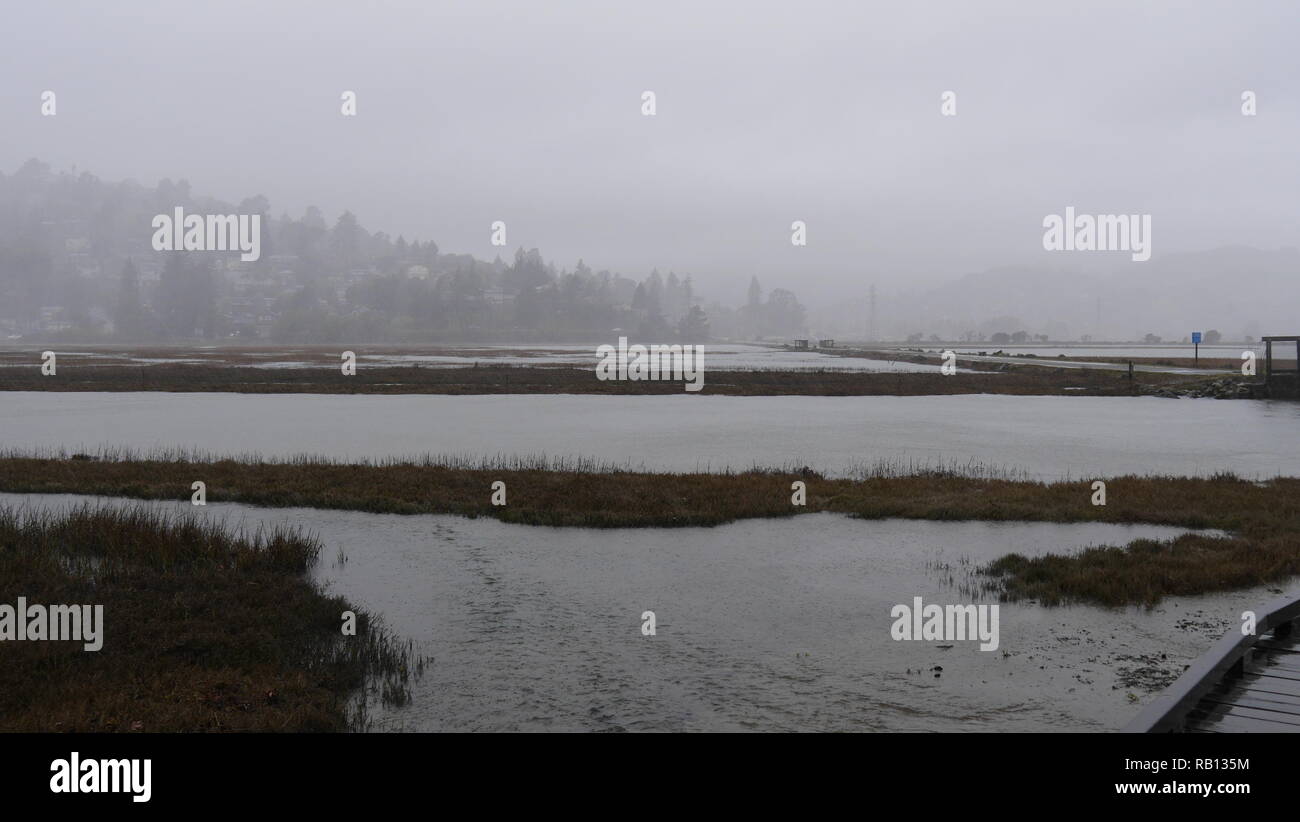 High tides and heavy rain hi-res stock photography and images - Alamy