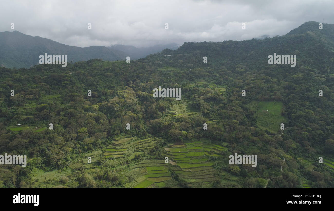 Aerial view of mountain valley with river, rice terraces, farmland in ...