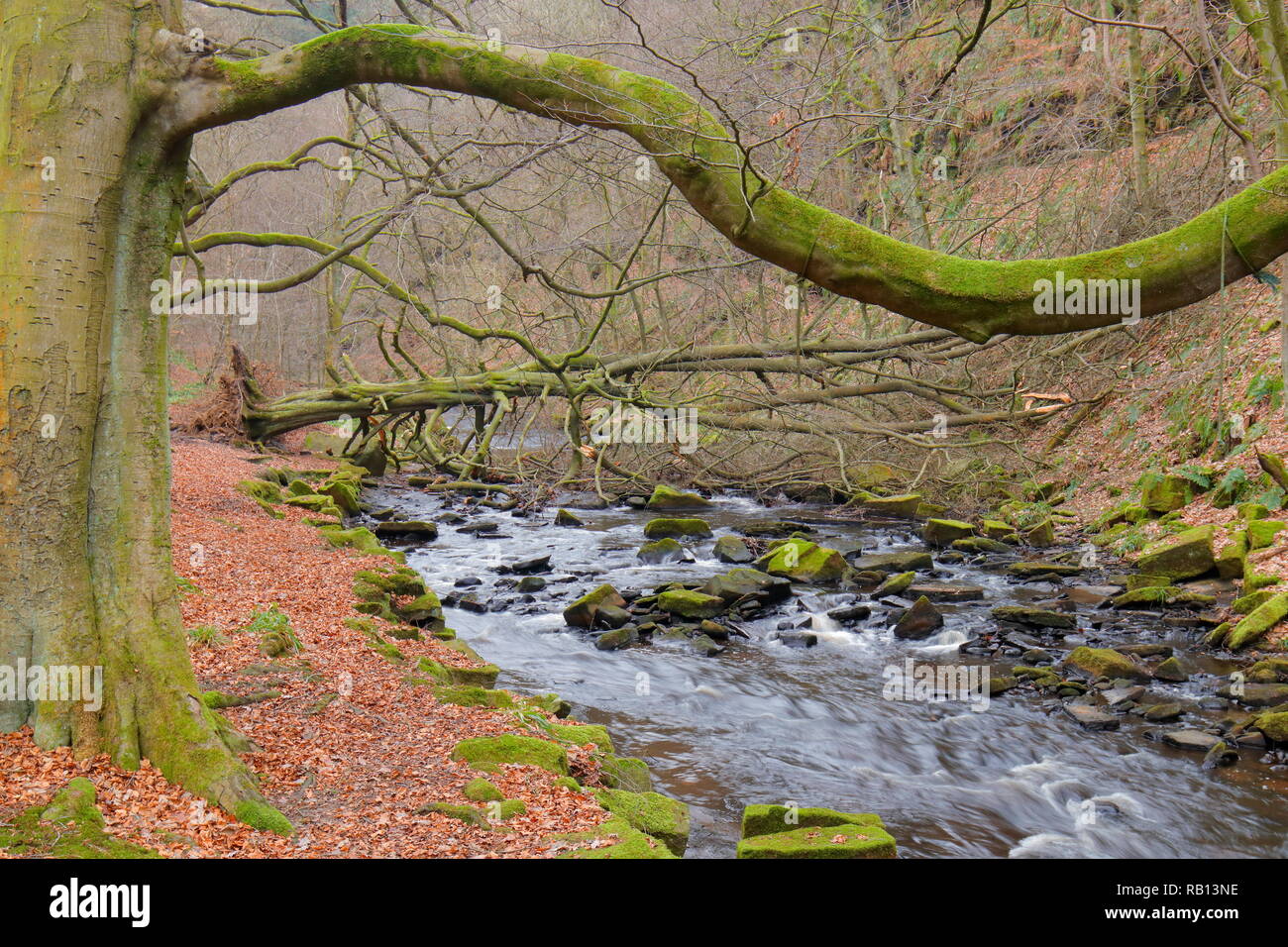 Dead crags hi-res stock photography and images - Alamy
