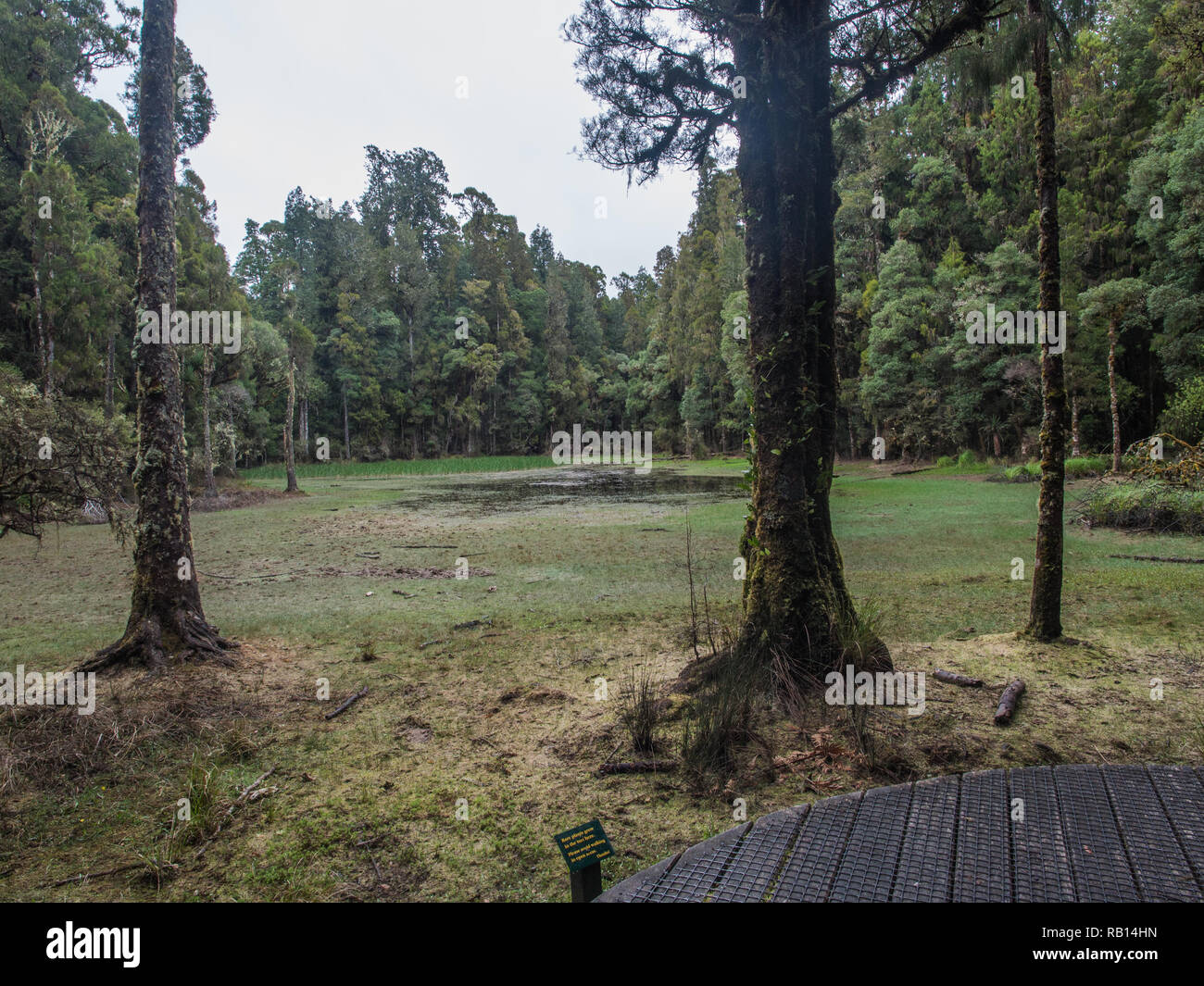 Waihora Lagoon, ephemeral wetland, low water level in summer, Pureora ...