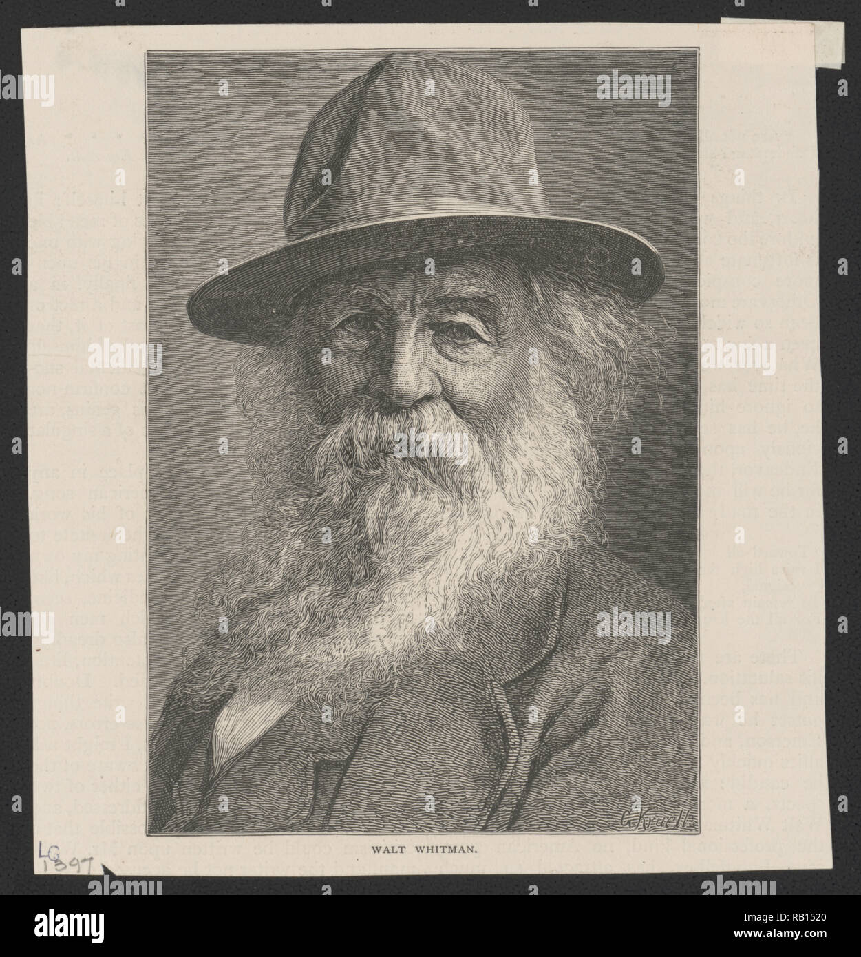Walt Whitman Young High Resolution Stock Photography and Images - Alamy