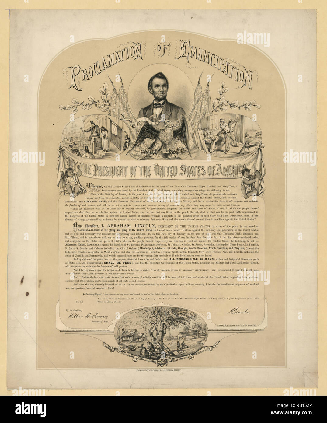 Proclamation tree hi-res stock photography and images - Alamy