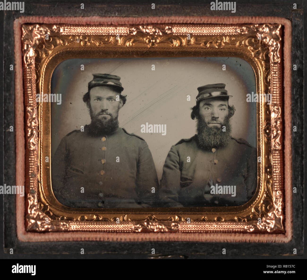 White riley hi-res stock photography and images - Alamy