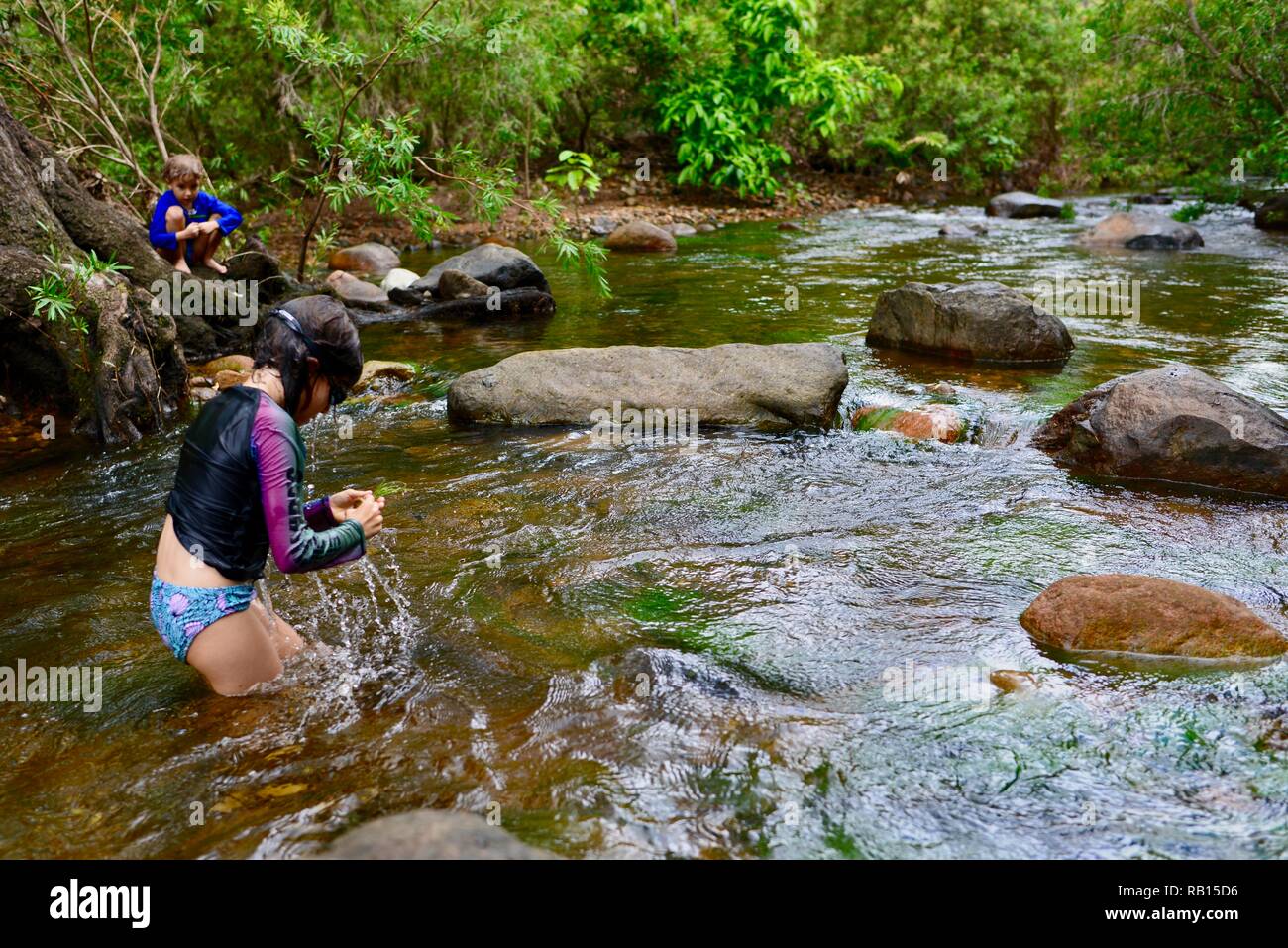 Children playing on a tree near a stream, A family swimming in a stream ...
