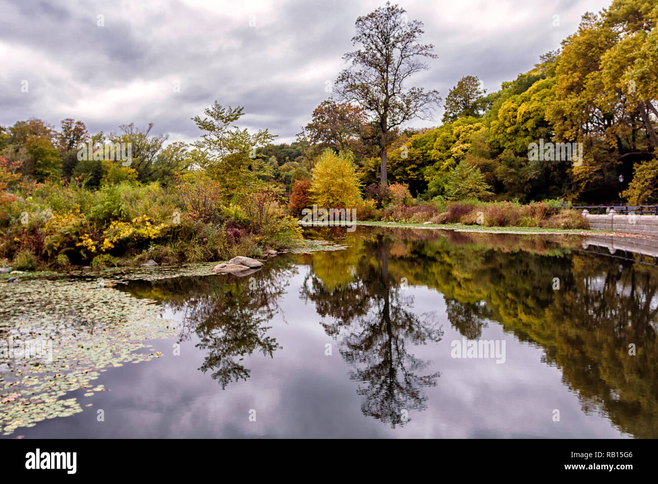 Fall foliage prospect park hi-res stock photography and images - Alamy