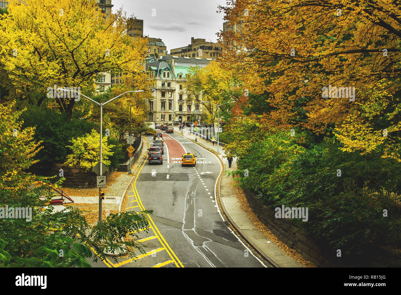 Road through New York Central Park in fall Stock Photo - Alamy