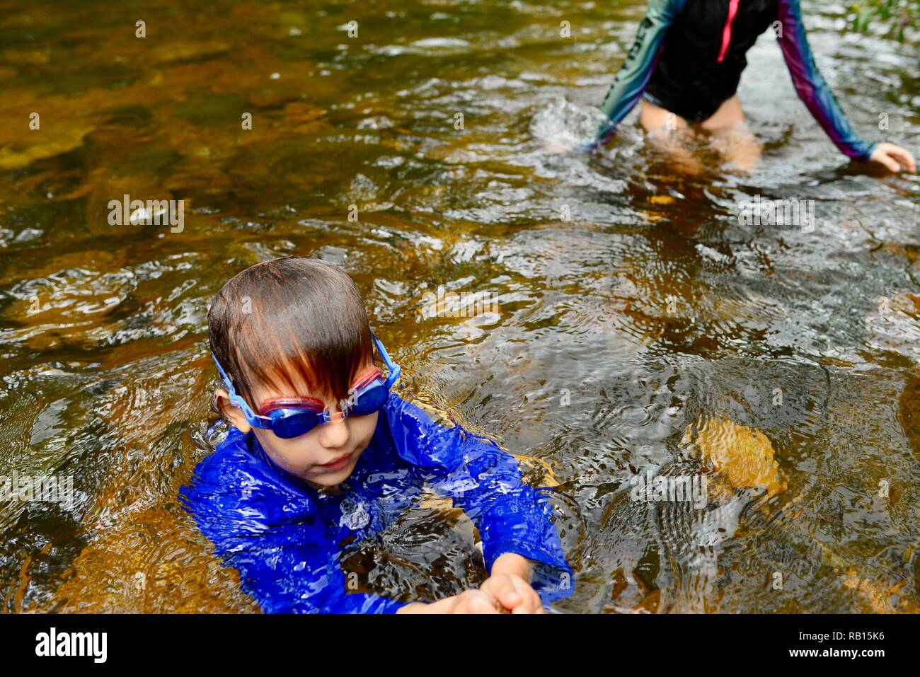 A family swimming in a stream, Alligator Creek, Townsville, Qld ...