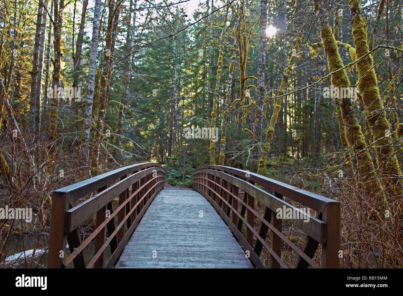 Footbridge along hi-res stock photography and images - Alamy