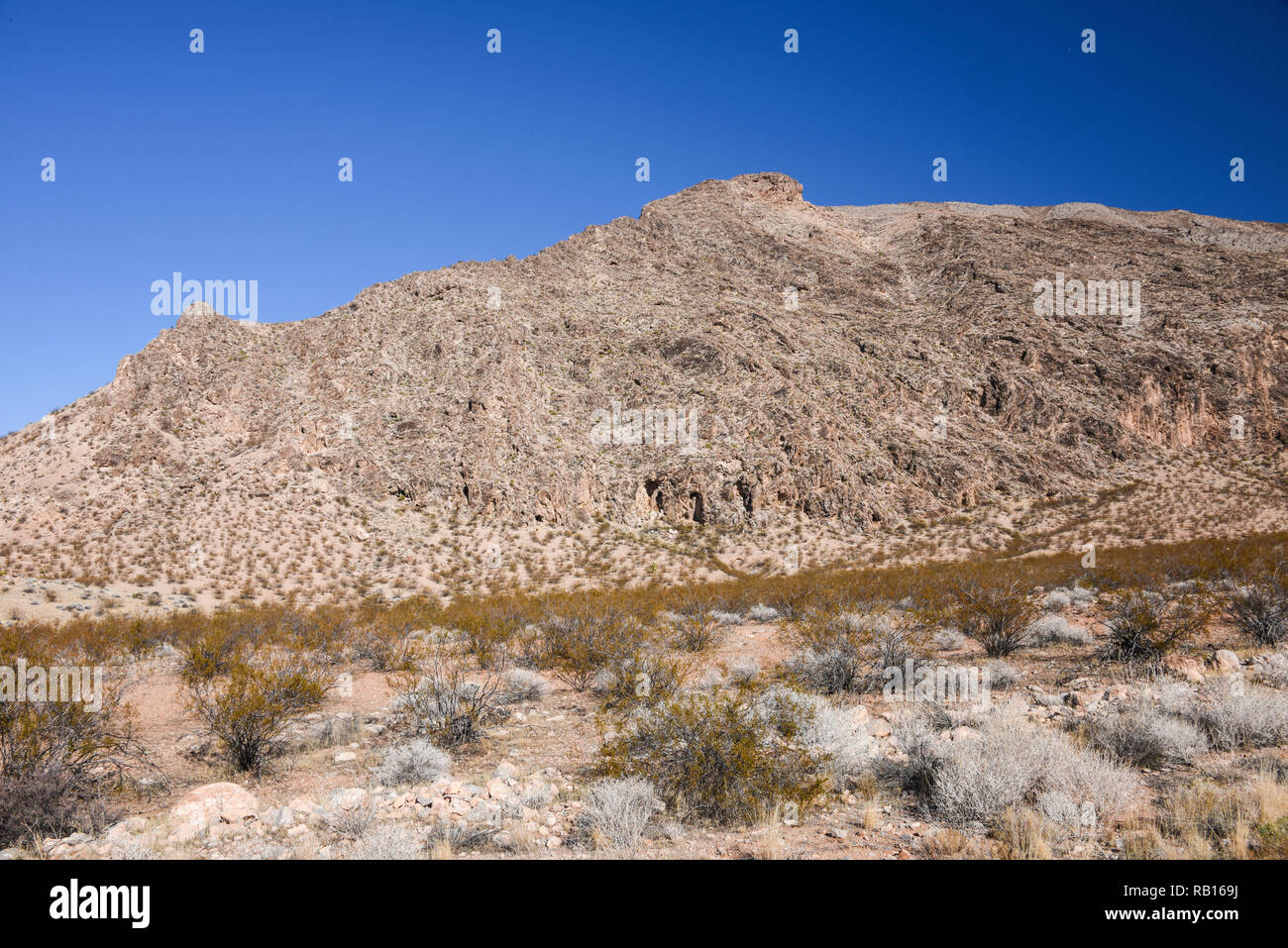 Whitney Pocket area, Gold Butte National Monument, southern Nevada, USA ...