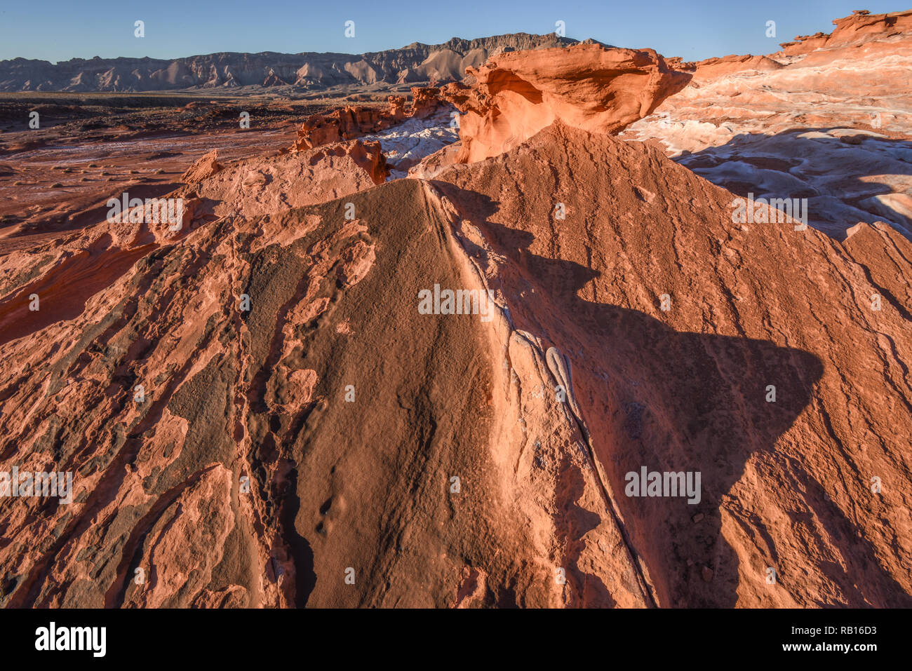 Little Finland, Gold Butte National Monument, Mojave Desert, southern ...